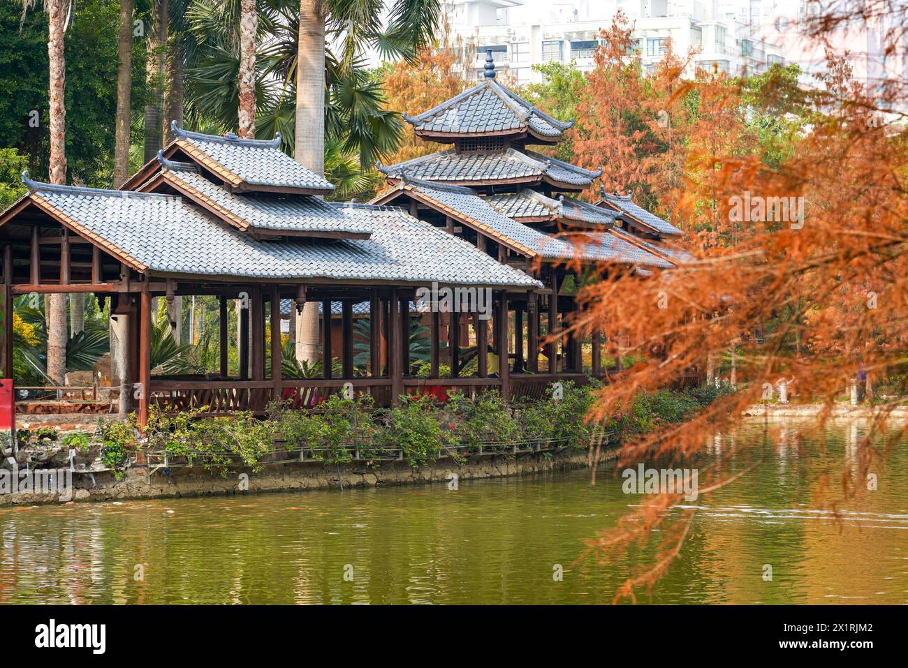 Yellowing trees and ancient Chinese pavilions in the autumn park Stock ...