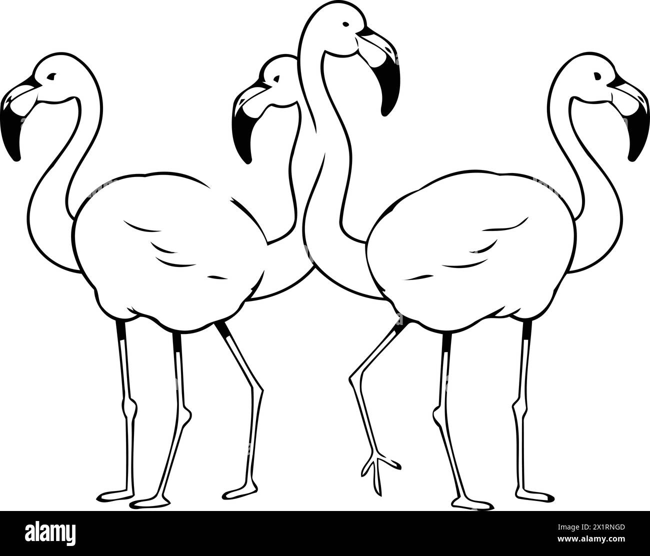 Two Pink Flamingos Isolated On White Background Cartoon Vector
