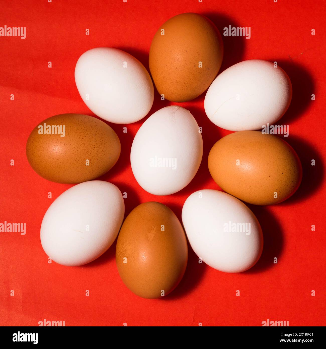 Chicken eggs isolated blow,Close up egg on red background Stock Photo ...