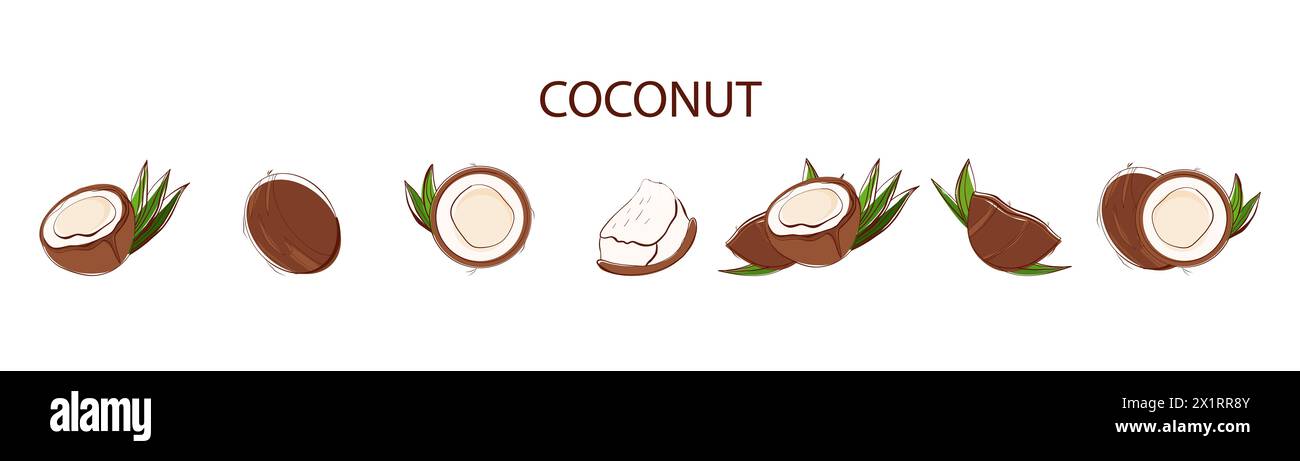 Set of coconut with text. Whole and half cracked broken coco nut with ...