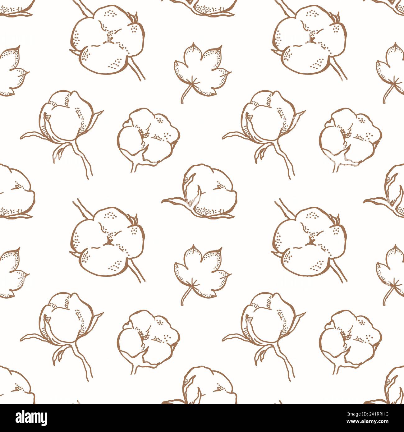 Cotton with leaves isolated on white background hi-res stock ...