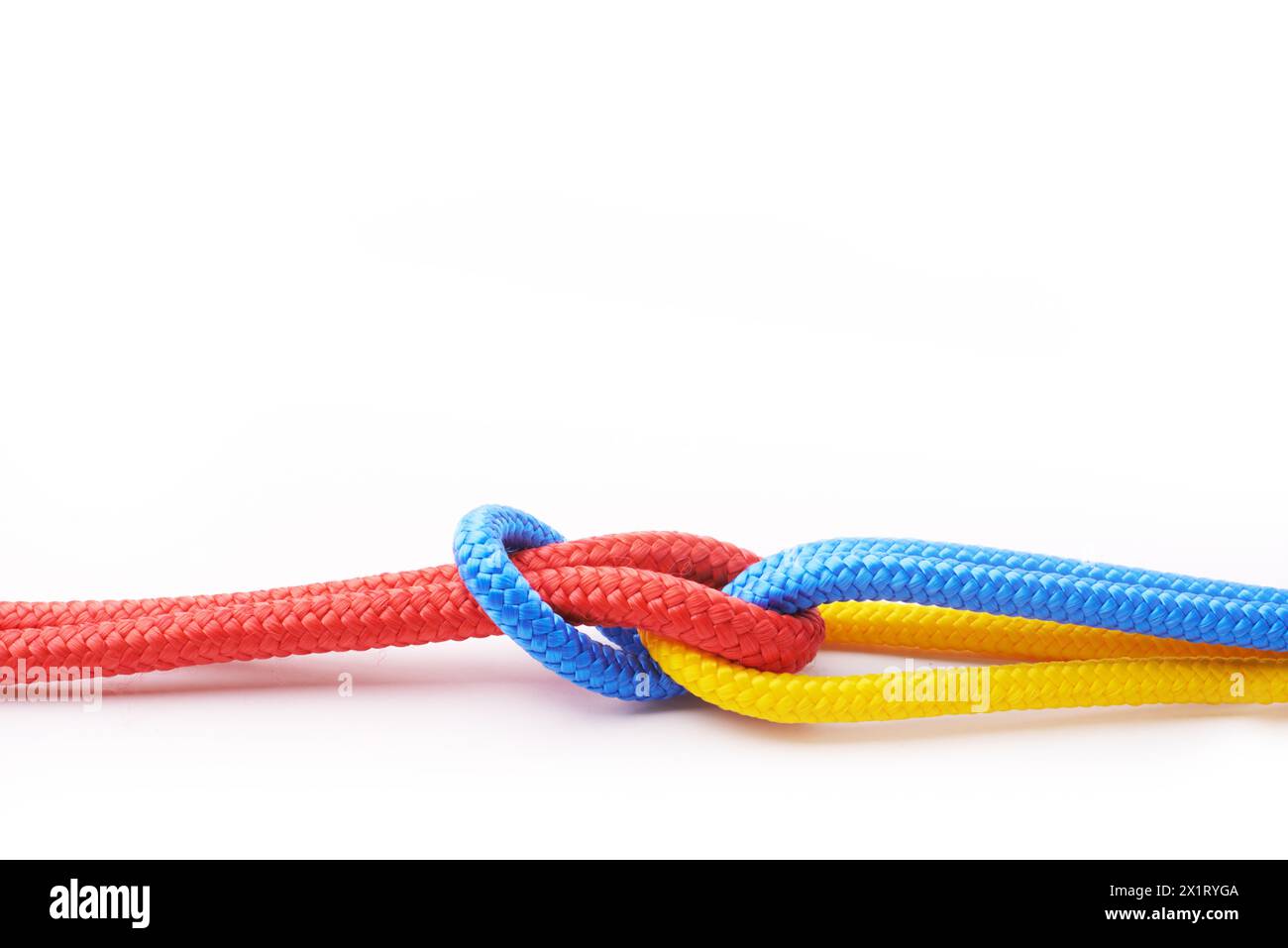 Rope, teamwork and collaboration in white studio background for ...