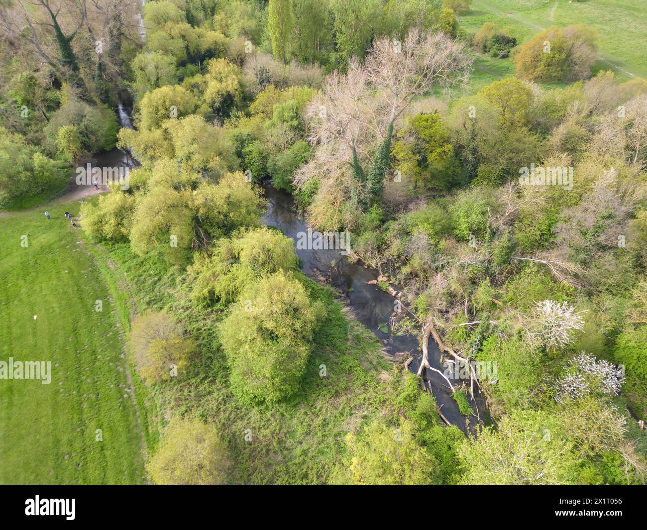 foots cray meadows on the banks of the river cray is a nature reserve ...