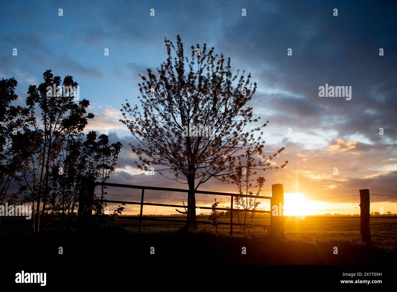 Zetel, Germany. 18th Apr, 2024. The sun rises early in the morning ...