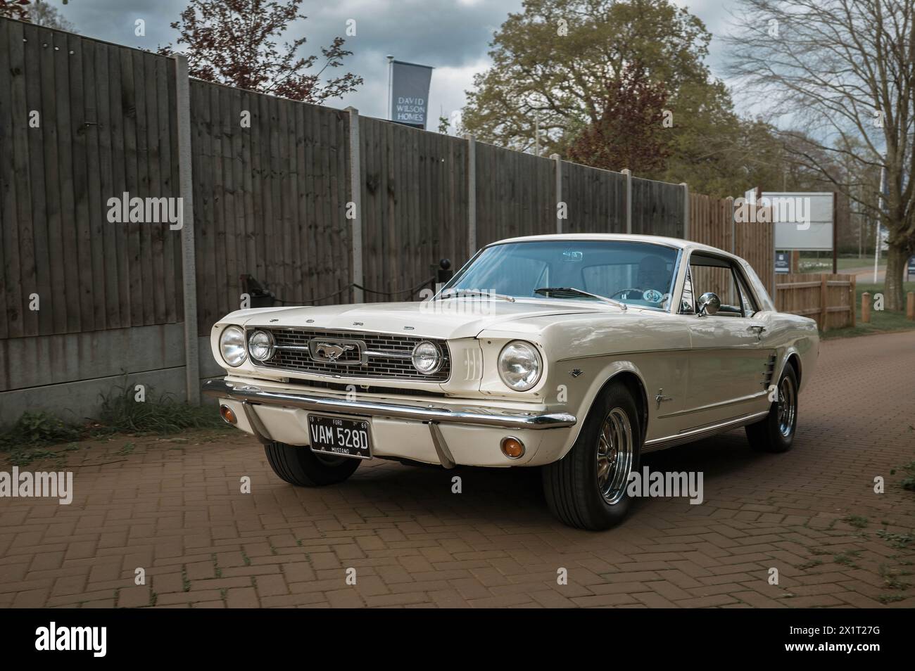 1960s mustang fastback gt hi-res stock photography and images - Alamy