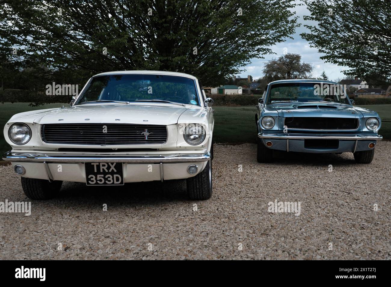 1960s mustang fastback gt hi-res stock photography and images - Alamy