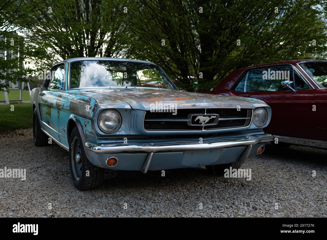 Blue patina on vintage Ford Mustang on display at the April 2024 ...