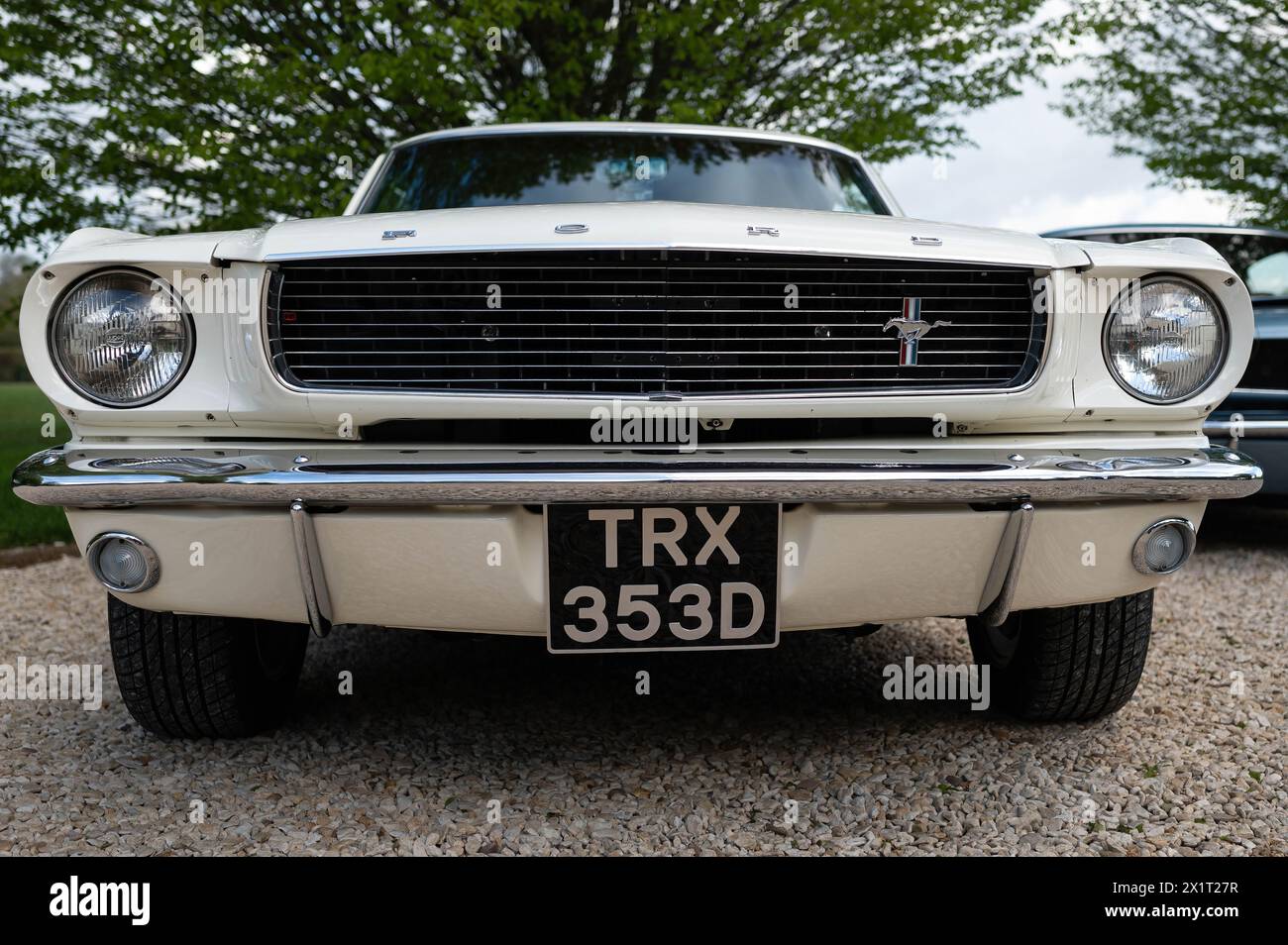 1960s mustang fastback gt hi-res stock photography and images - Alamy
