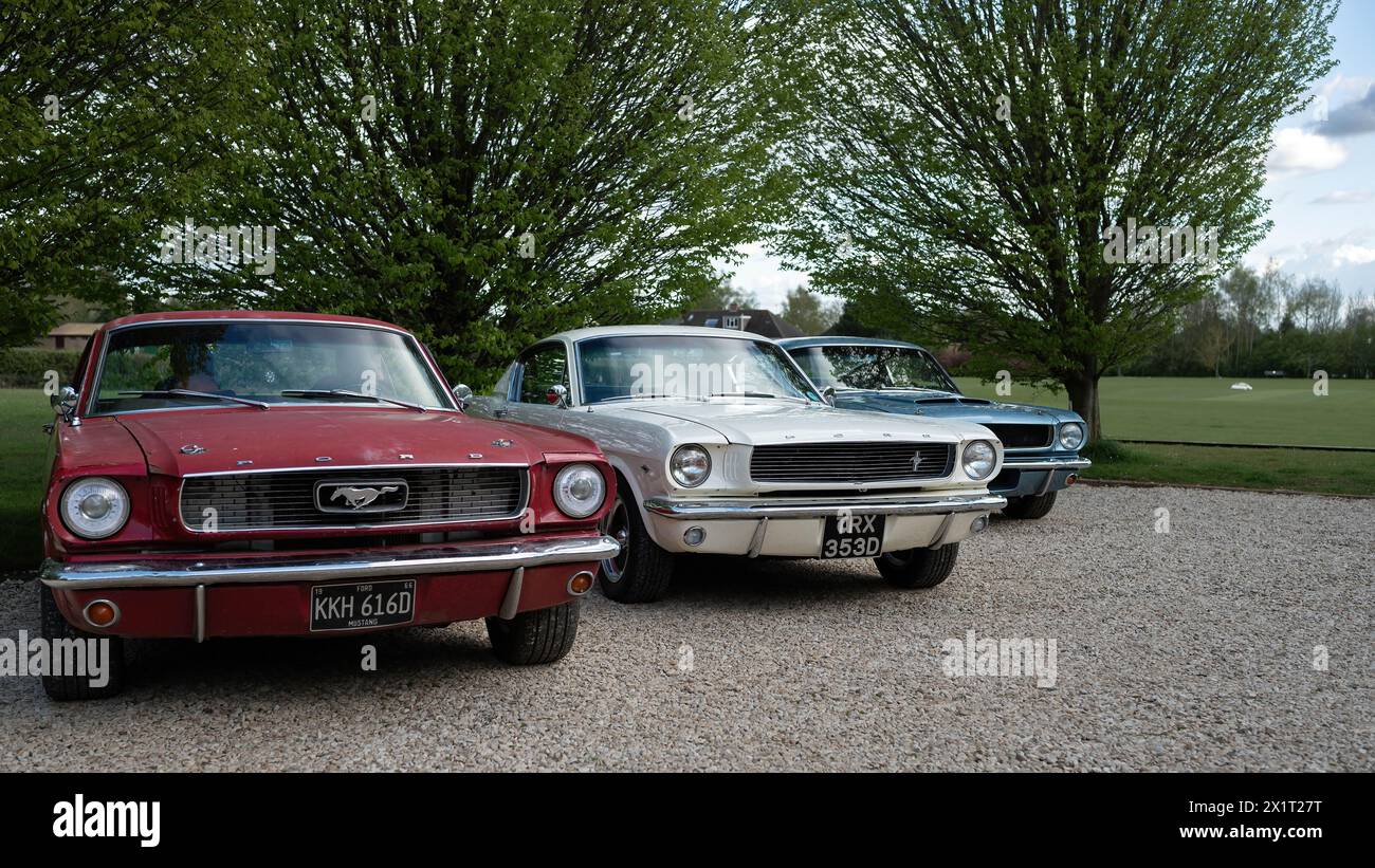 1960s mustang fastback gt hi-res stock photography and images - Alamy