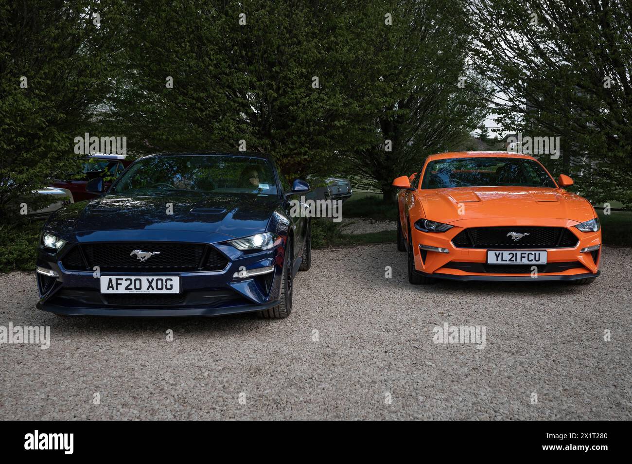 Front view of a pair of modern Ford Mustangs on display at the April ...