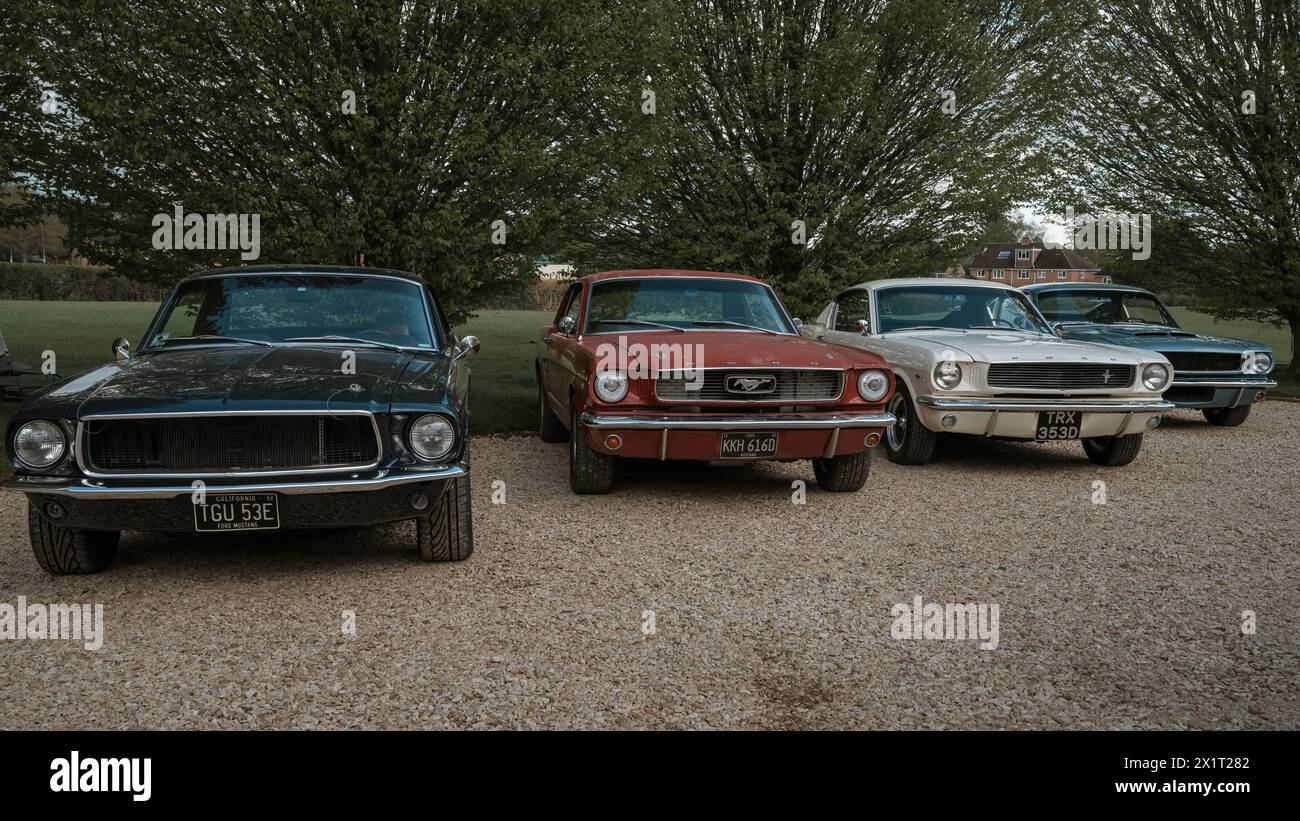 Four vintage Ford Mustangs on display at the April 2024 Banbury Car ...