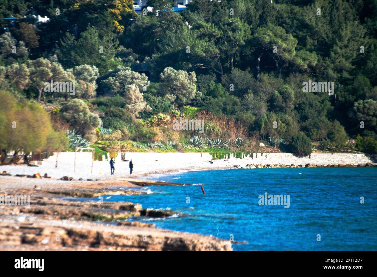 Immerse yourself in the calming beauty of the blue sea stretching ...