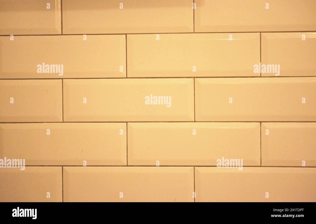 Enhance your space with the contemporary charm of white brick wall fayans, adding a stylish ...