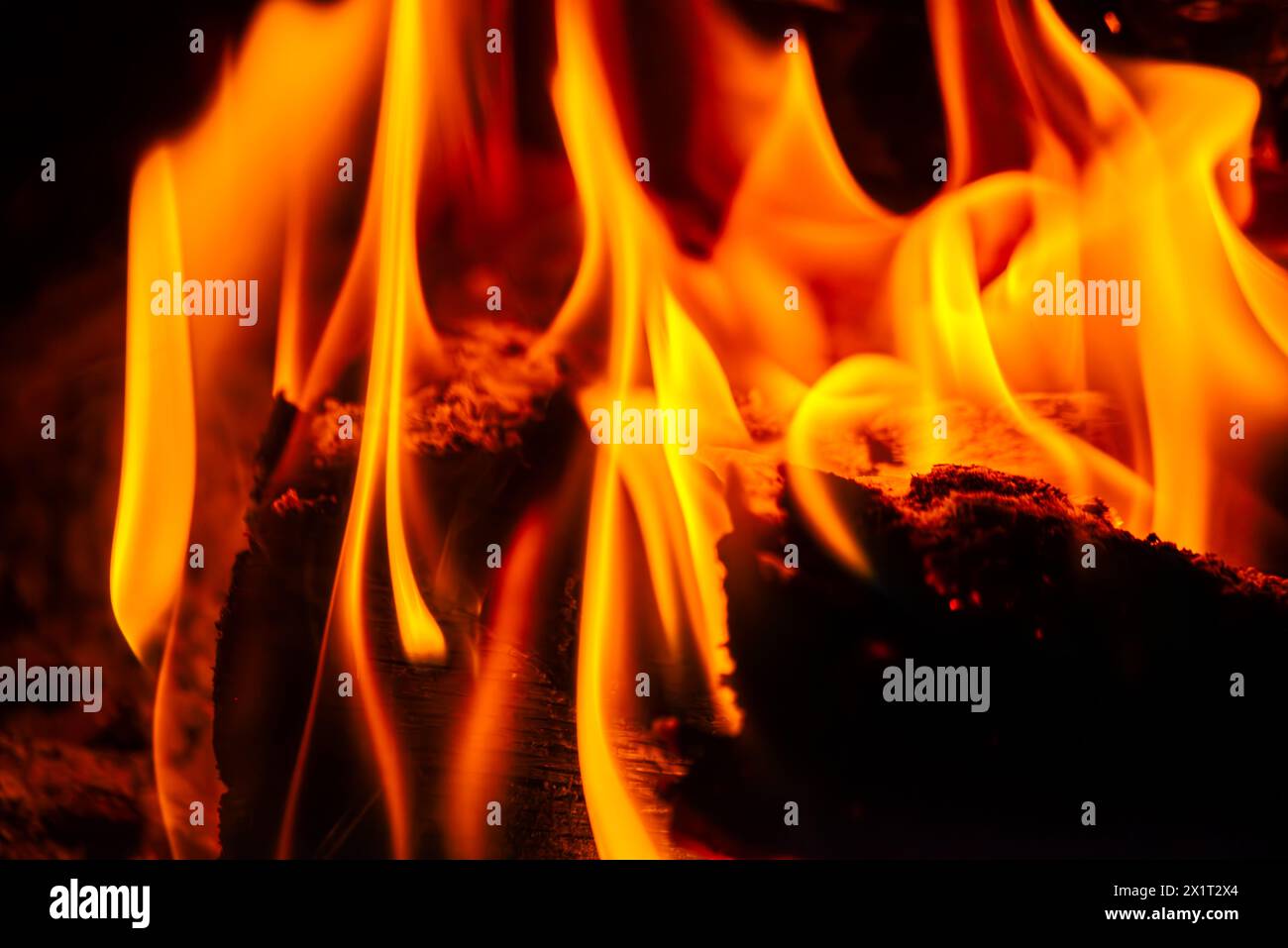 Capture the essence of inferno with a close-up of fiery wood fire ...