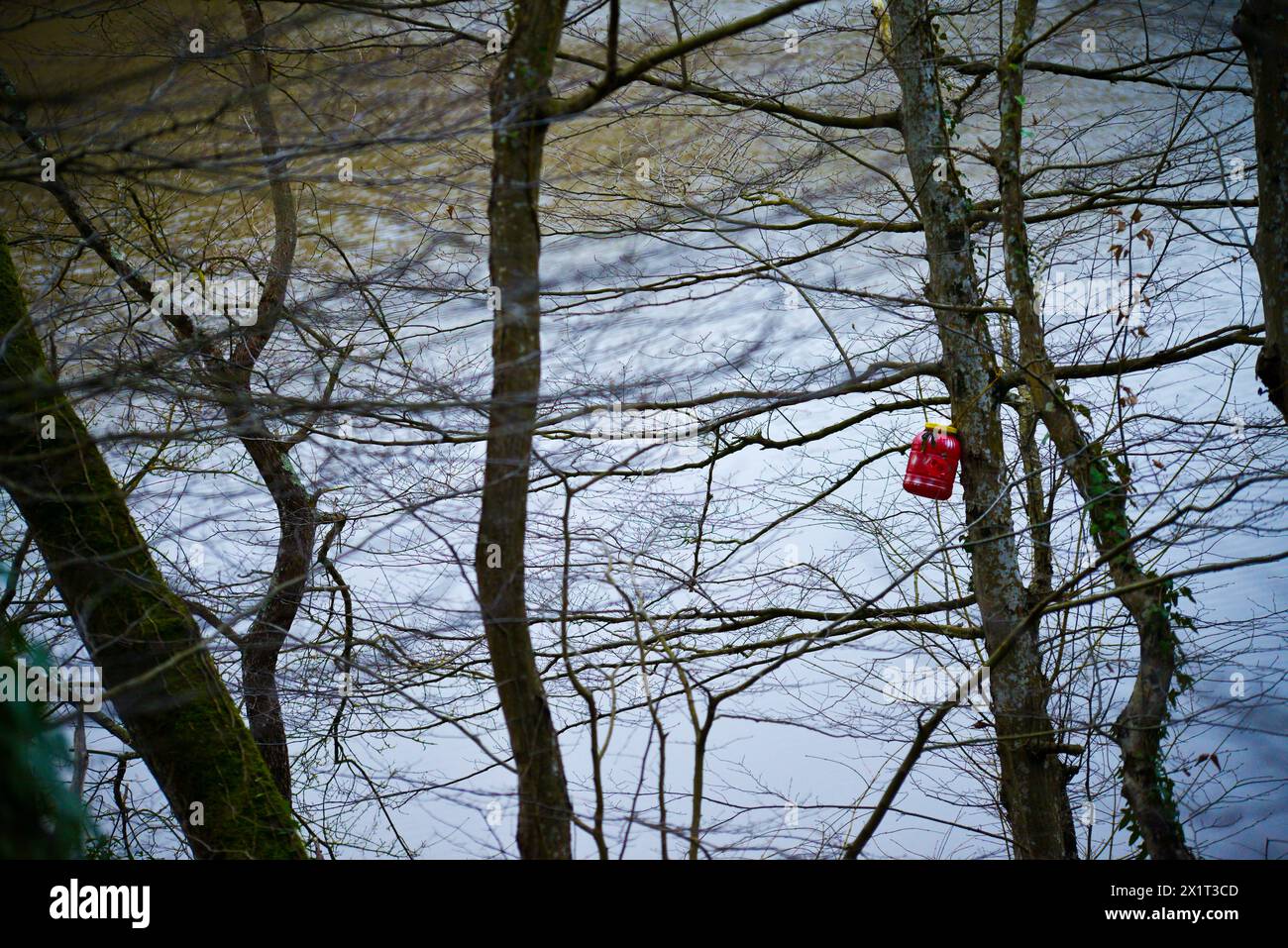 A rustic wooden bird nest snugly nestled amidst the tree branches ...