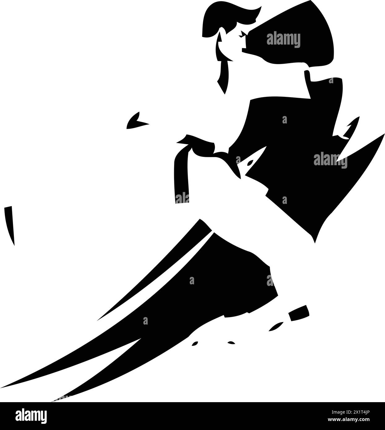 Martial arts. Karate fighter in action. Vector illustration Stock ...