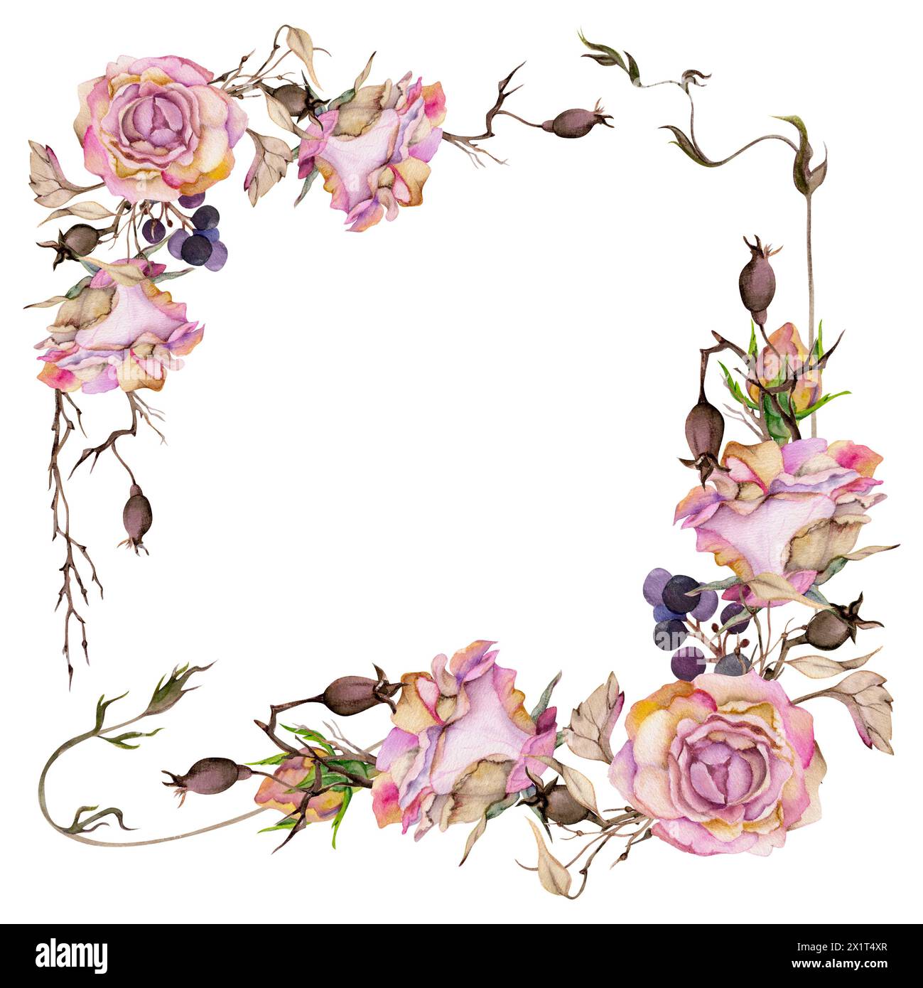 Hand drawn watercolor illustration shabby boho botanical flowers leaves ...