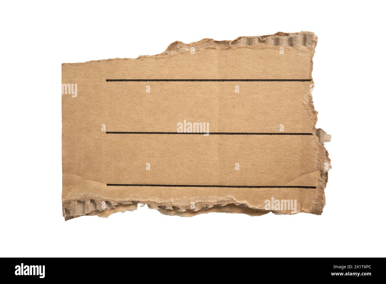 A piece of torn cardboard with line graphic on white background with ...