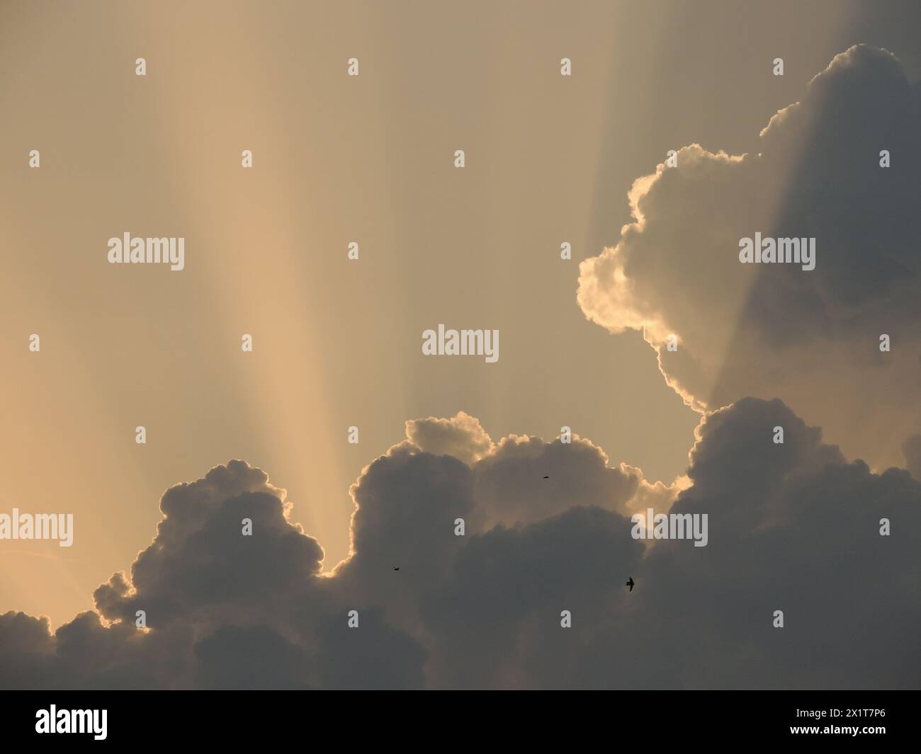 Heavenly view hi-res stock photography and images - Alamy