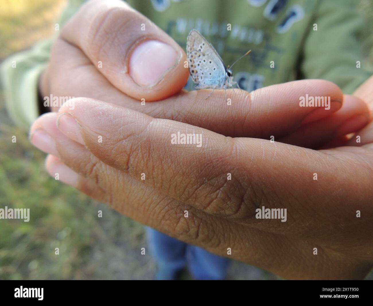 Kids with bugs hi-res stock photography and images - Alamy
