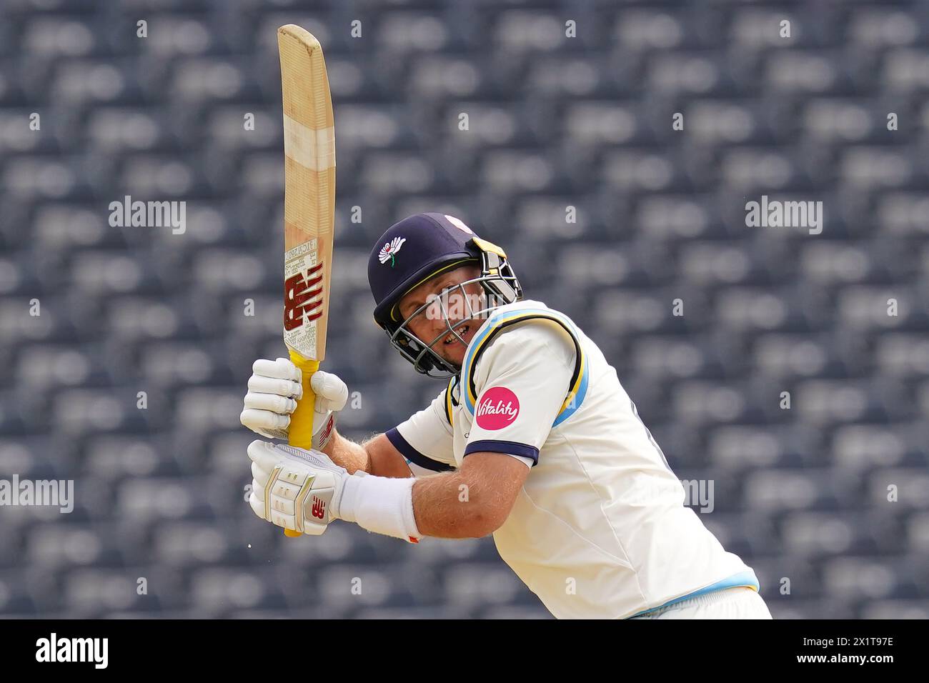 Bristol, UK, 14 April 2024. Yorkshire's Joe Root bats during the ...