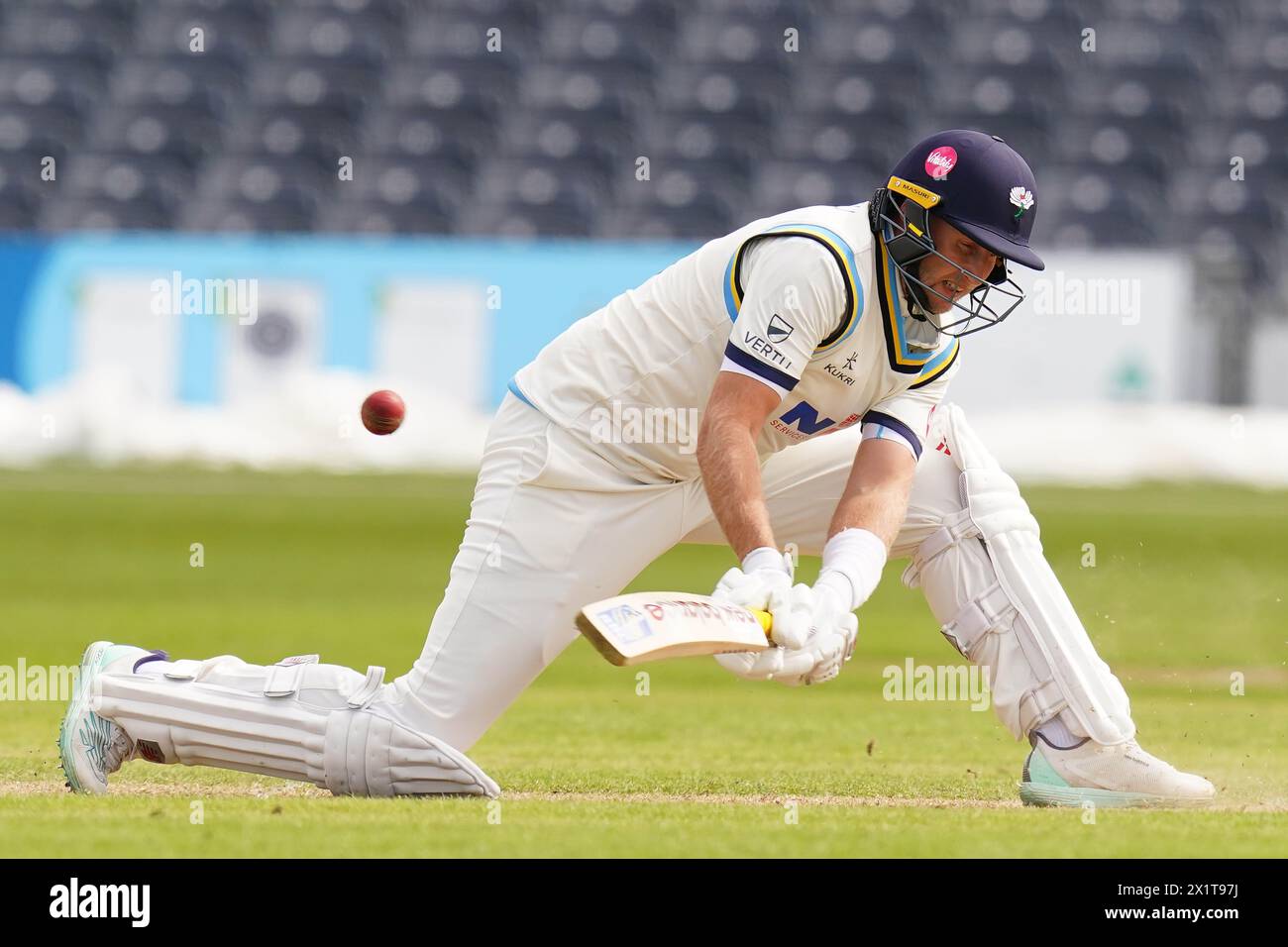 Bristol, UK, 14 April 2024. Yorkshire's Joe Root bats during the ...