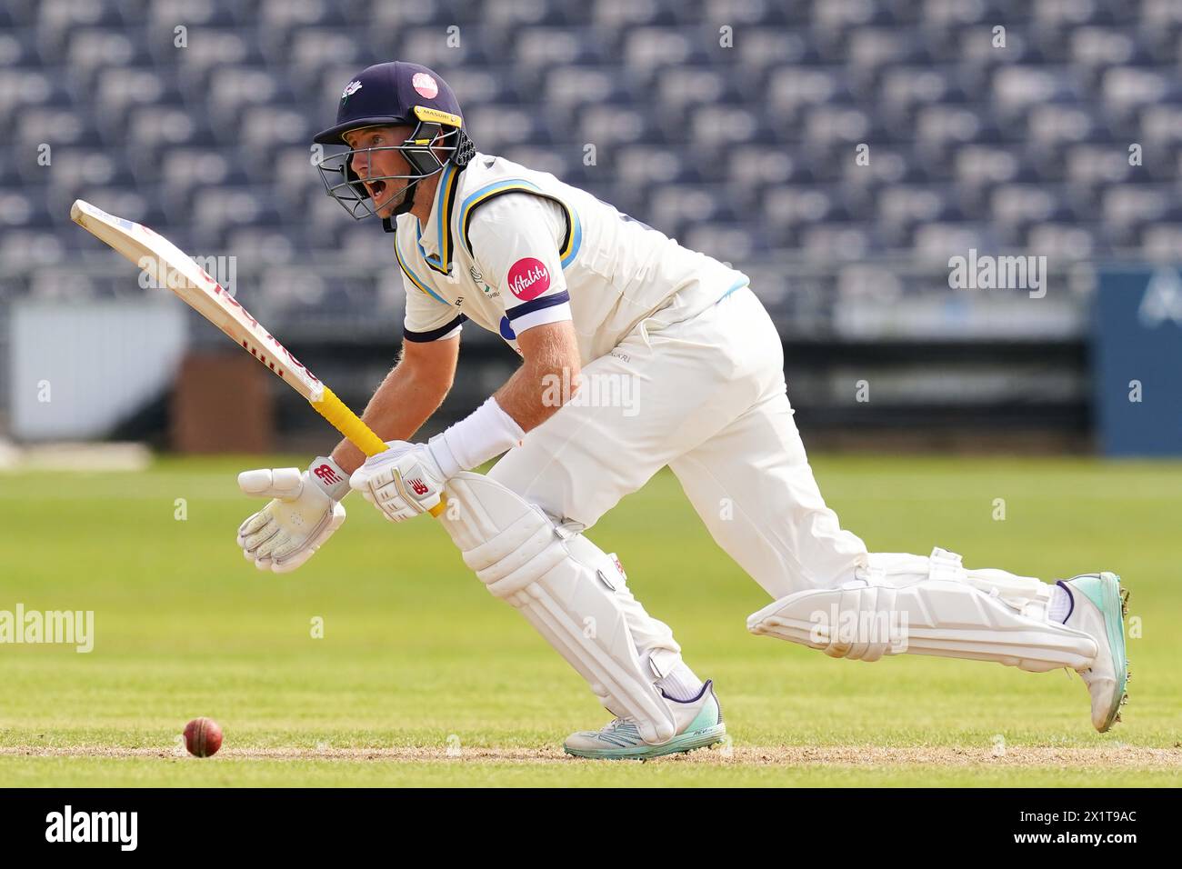 Bristol, UK, 14 April 2024. Yorkshire's Joe Root bats during the ...