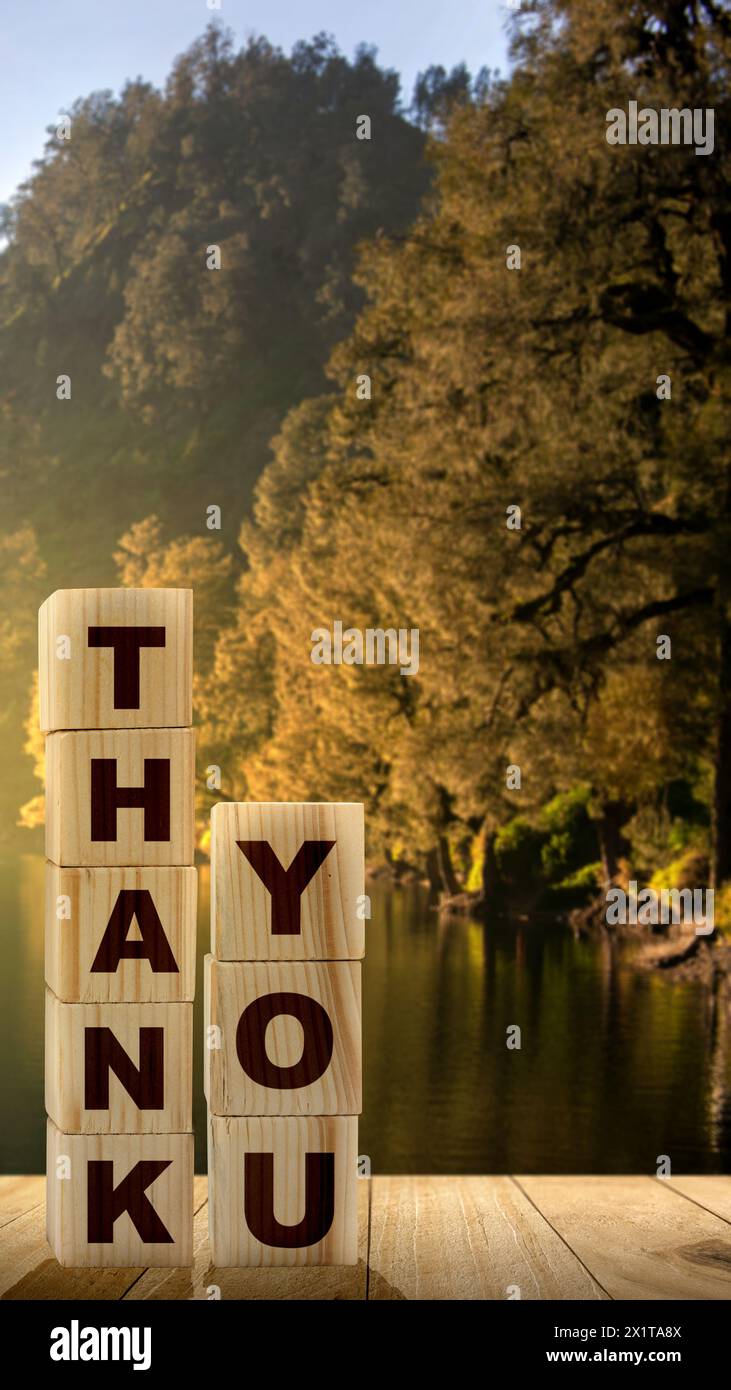 Stack of wooden cubes with Thank You text on wooden table. Thank you ...