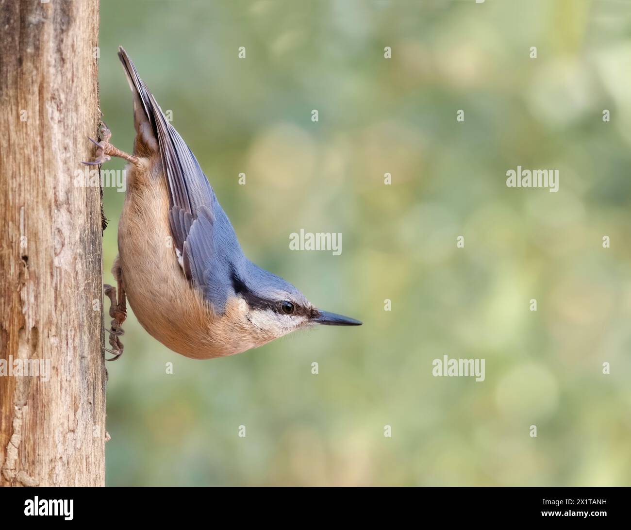 Unlikely position hi-res stock photography and images - Alamy