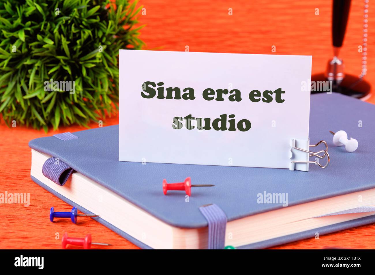 Sina era est studio It means Without anger and addiction on a white ...
