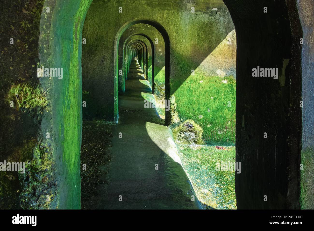 Coastal protection for the cliffs behind hi-res stock photography and ...