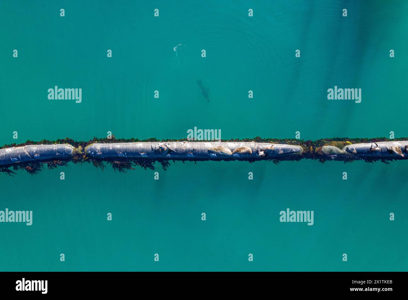 Water delivery pipe hi-res stock photography and images - Alamy