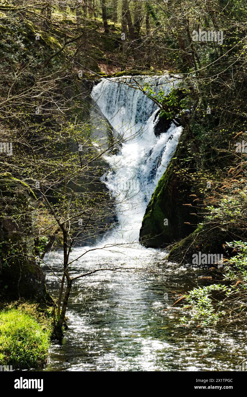 Dyfi Furnace Waterfall. Wales. UK Stock Photo - Alamy