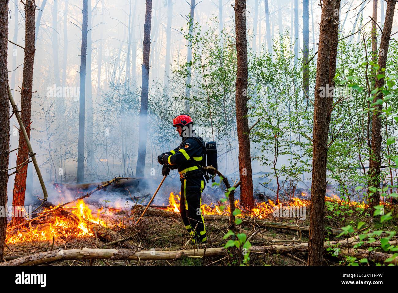 Forest and Wildlife Fire Due to climate change causing a huge draught ...