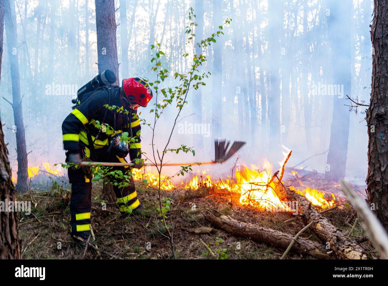 Forest and Wildlife Fire Due to climate change causing a huge draught ...