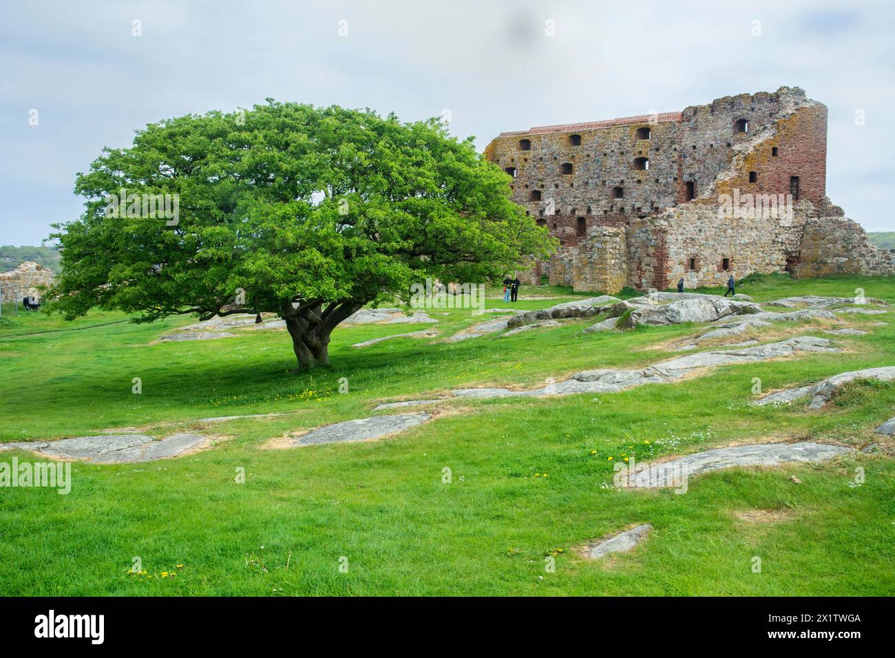 Hammershus was Scandinavia's largest medieval fortification and is one ...
