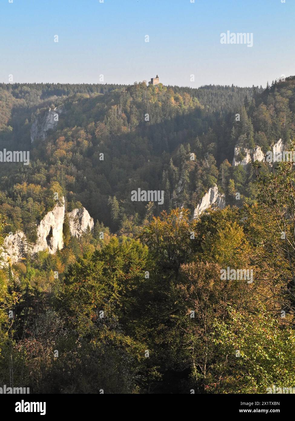 View of Kallenberg ruins, Upper Danube nature park Park, Fridingen ...