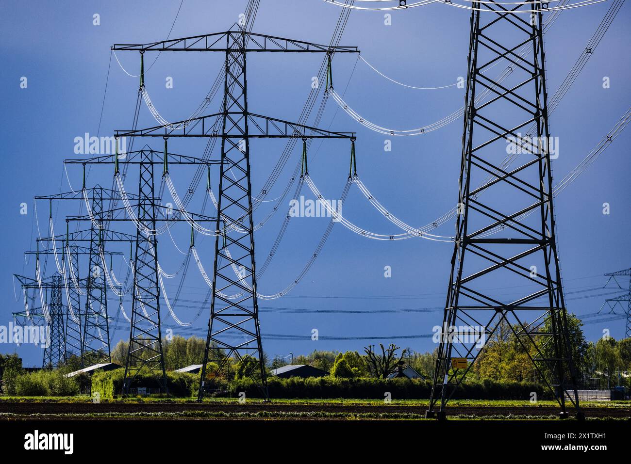 HEINENOORD - High-voltage pylons in a polder. The electricity grid is ...