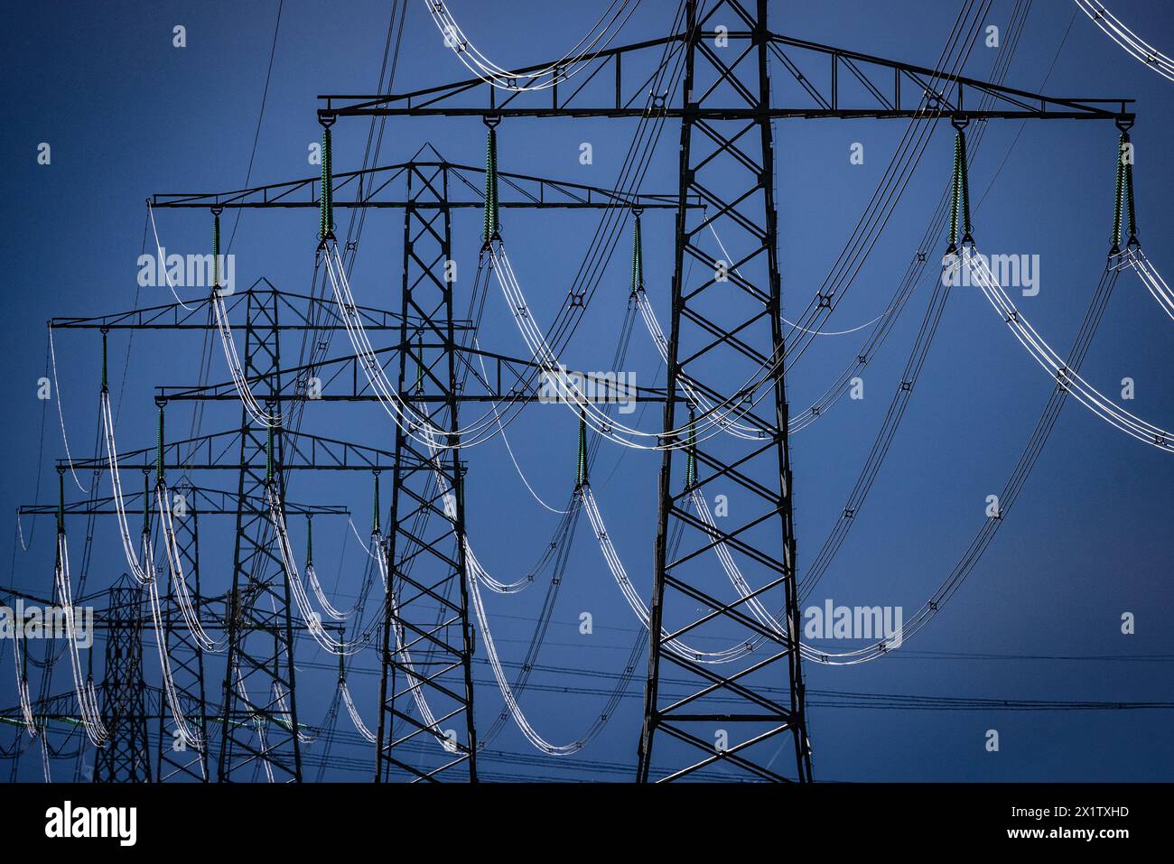 HEINENOORD - High-voltage pylons in a polder. The electricity grid is ...