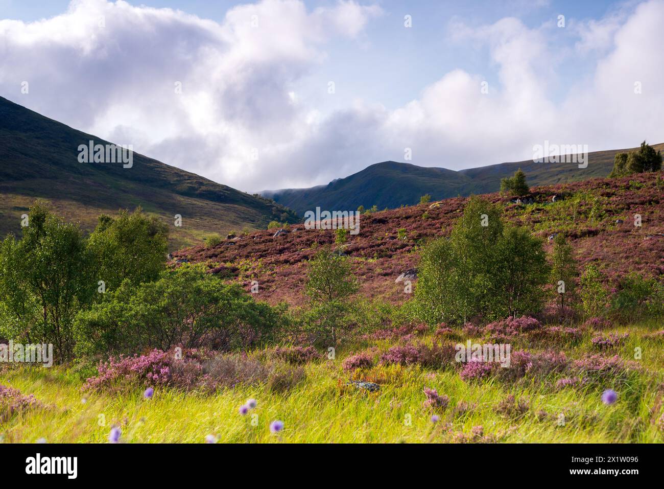 View over the Scottish Highlands Stock Photo - Alamy
