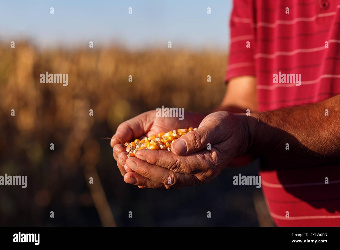Close up farmer man hands hi-res stock photography and images - Alamy