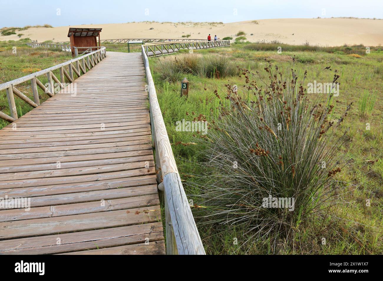 A Gran Duna, Dunas de Corrubedo y Lagunas de Carregal y Vix·n Natural ...