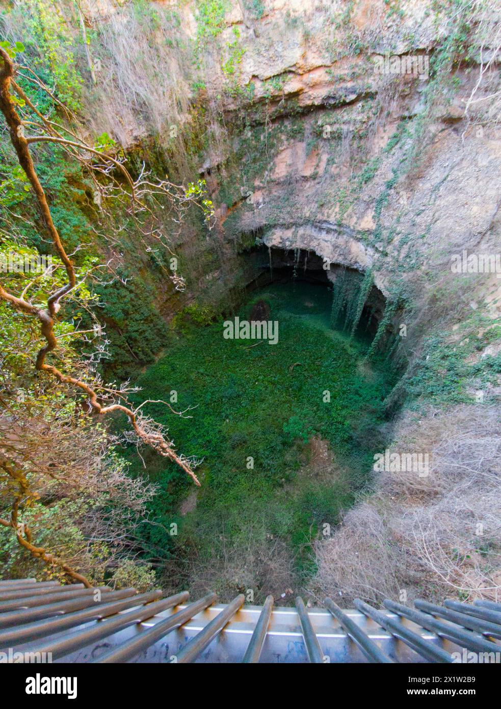 View into a deep natural pit with lush greenery, El Pozo de los Aines ...