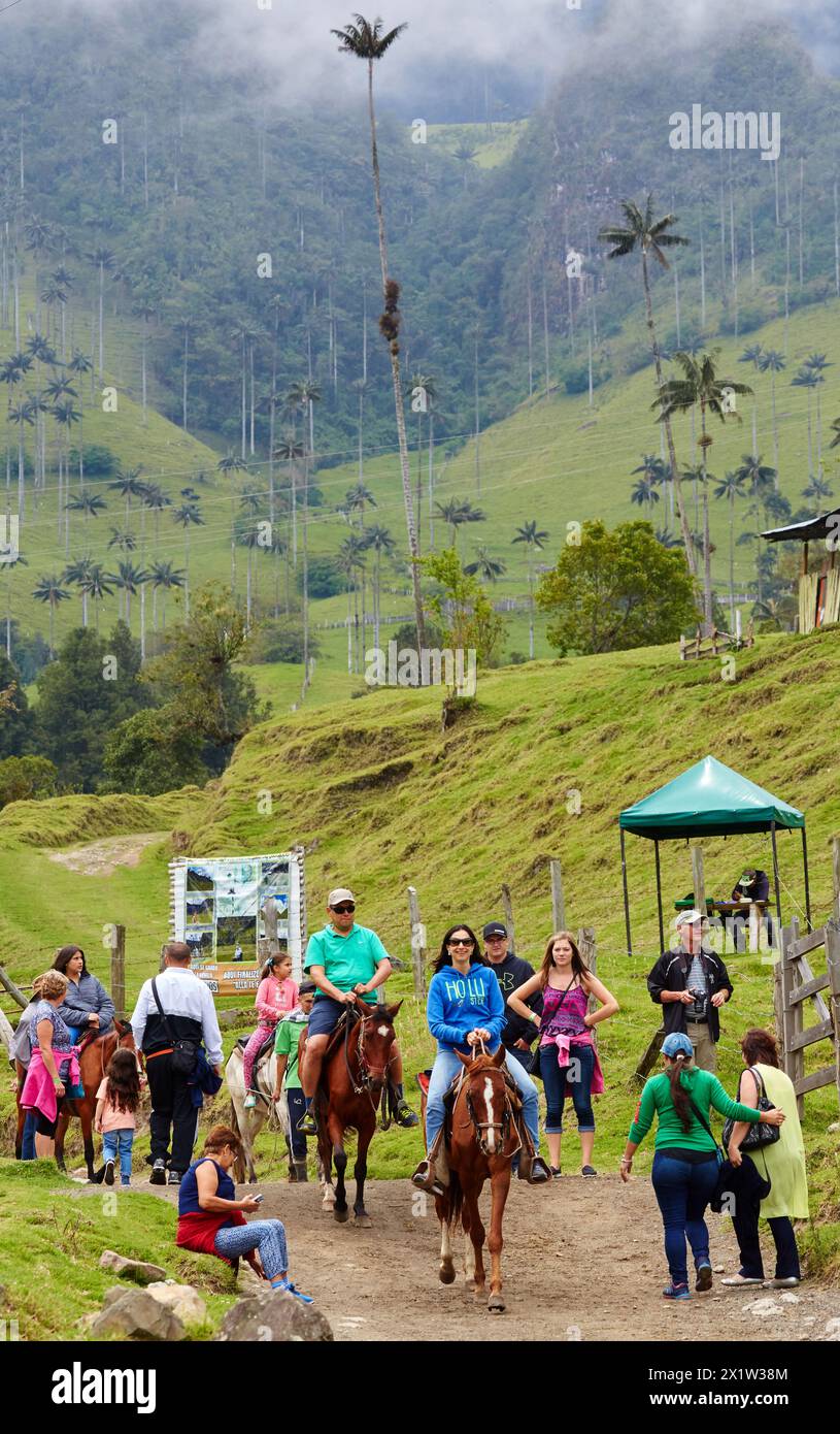 Tourists riding, Valle del Cocora, Salento, Quindio, Colombia, South ...