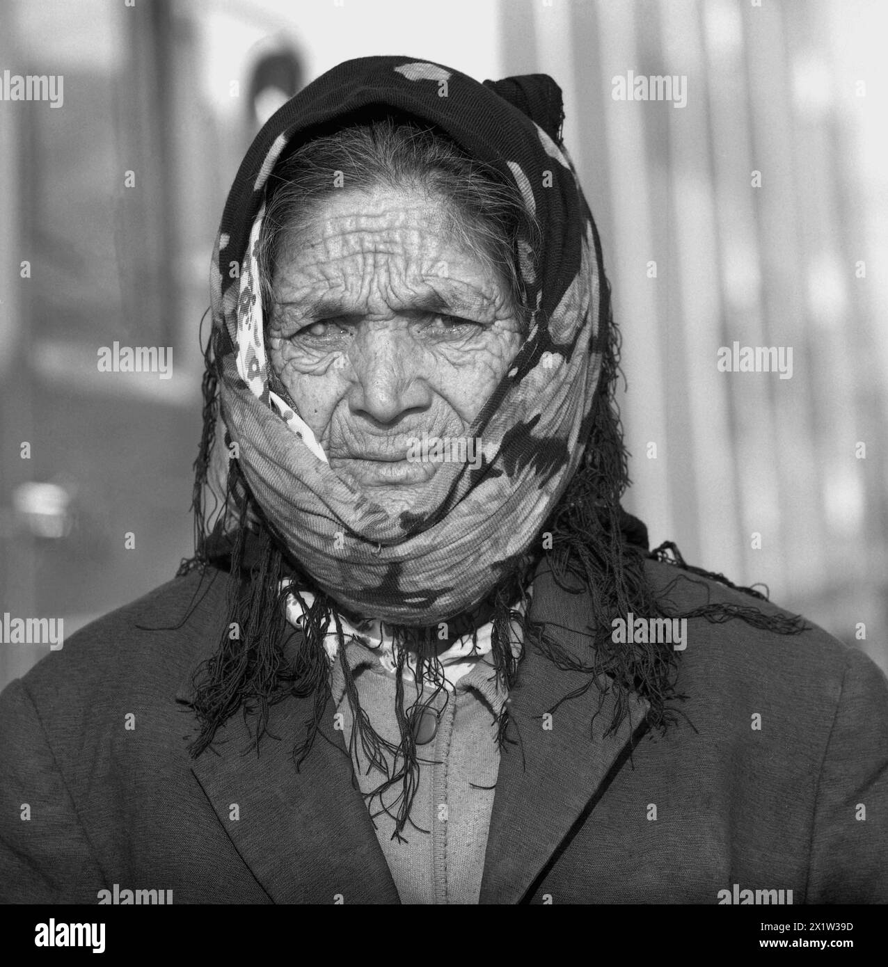 Leukocoria hi-res stock photography and images - Alamy
