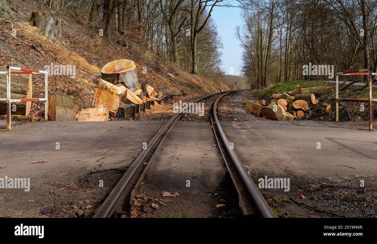 Narrow-gauge railway bed of the Raging Roland, Ruegen, Mecklenburg ...