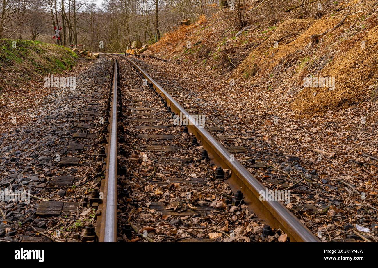 Narrow-gauge railway bed of the Raging Roland, Ruegen, Mecklenburg ...