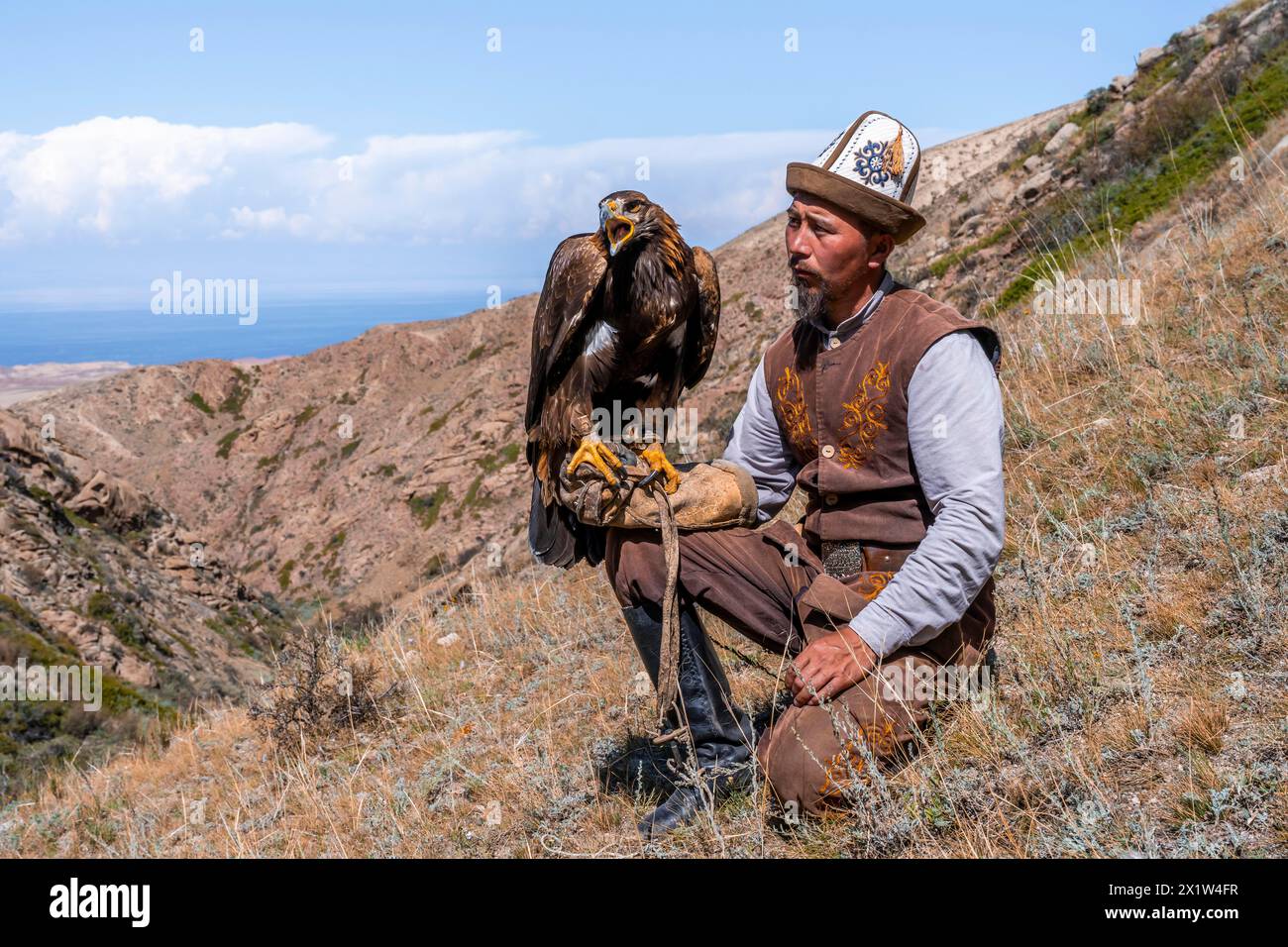 Traditional Kyrgyz eagle hunter with eagle in the mountains, hunting ...