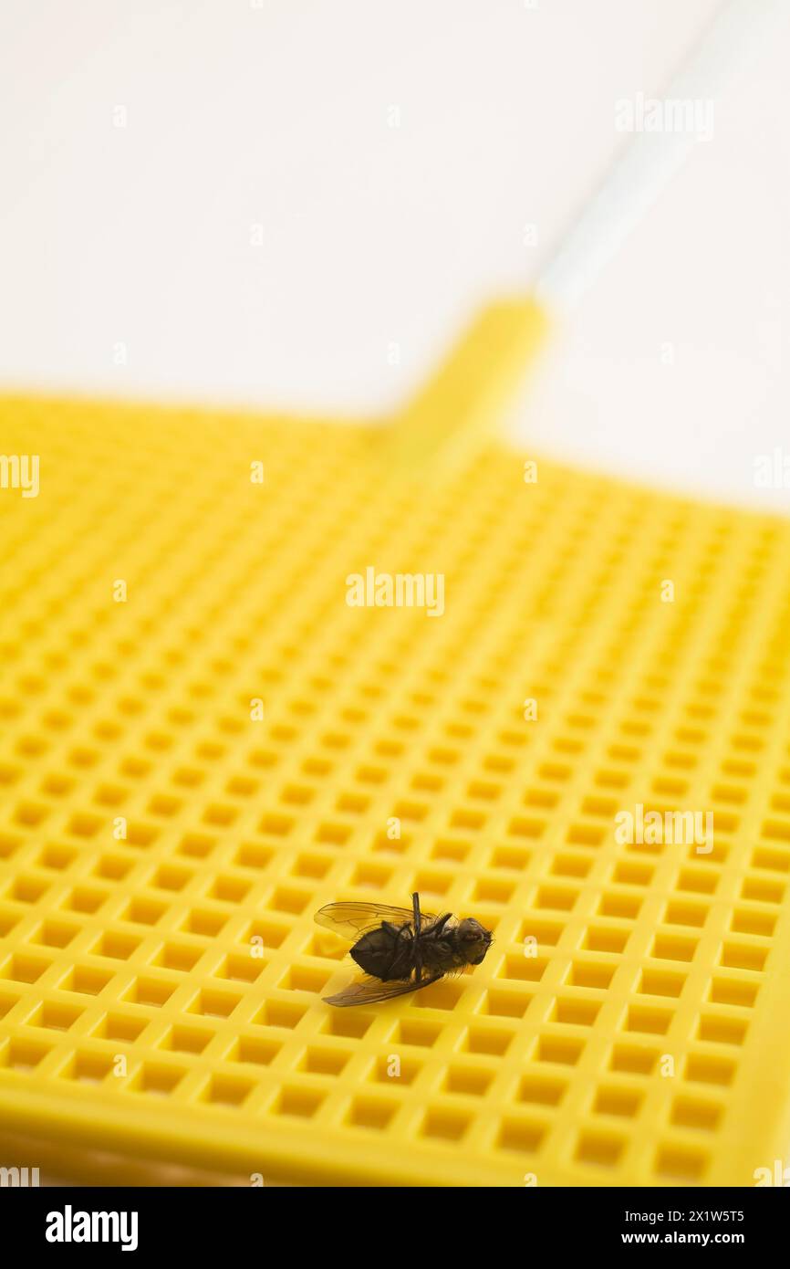 Fly swatter hi-res stock photography and images - Alamy