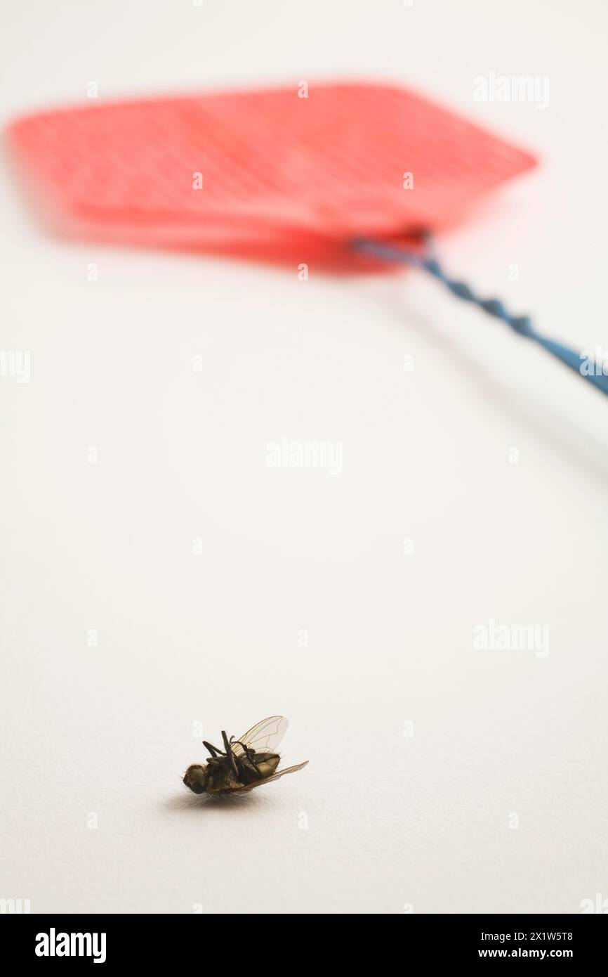 Fly swatter hi-res stock photography and images - Alamy